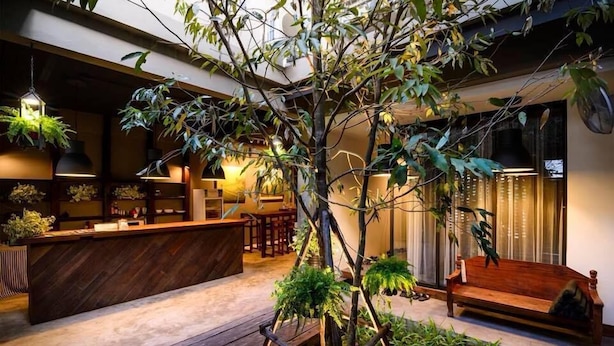 Um interior moderno com um balcão de recepção em madeira, área de estar e plantas em vasos.