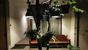 Quarto com uma cama, cabeceira de madeira e mesa de cabeceira. Há plantas em vasos ao redor da cama e uma pequena mesa.