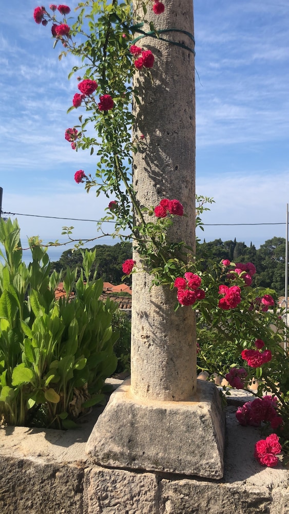 Villa Anica Dubrovnik - Dubrovnik