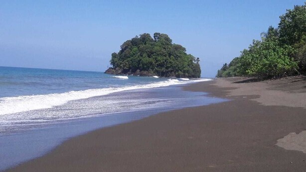 Uma praia com areal arenoso e uma pequena ilha com vegetação densa ao fundo.