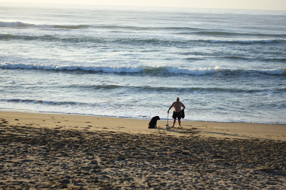Cottage 'On The Beach'....watch The Waves....from Your Bed! - Western Cape