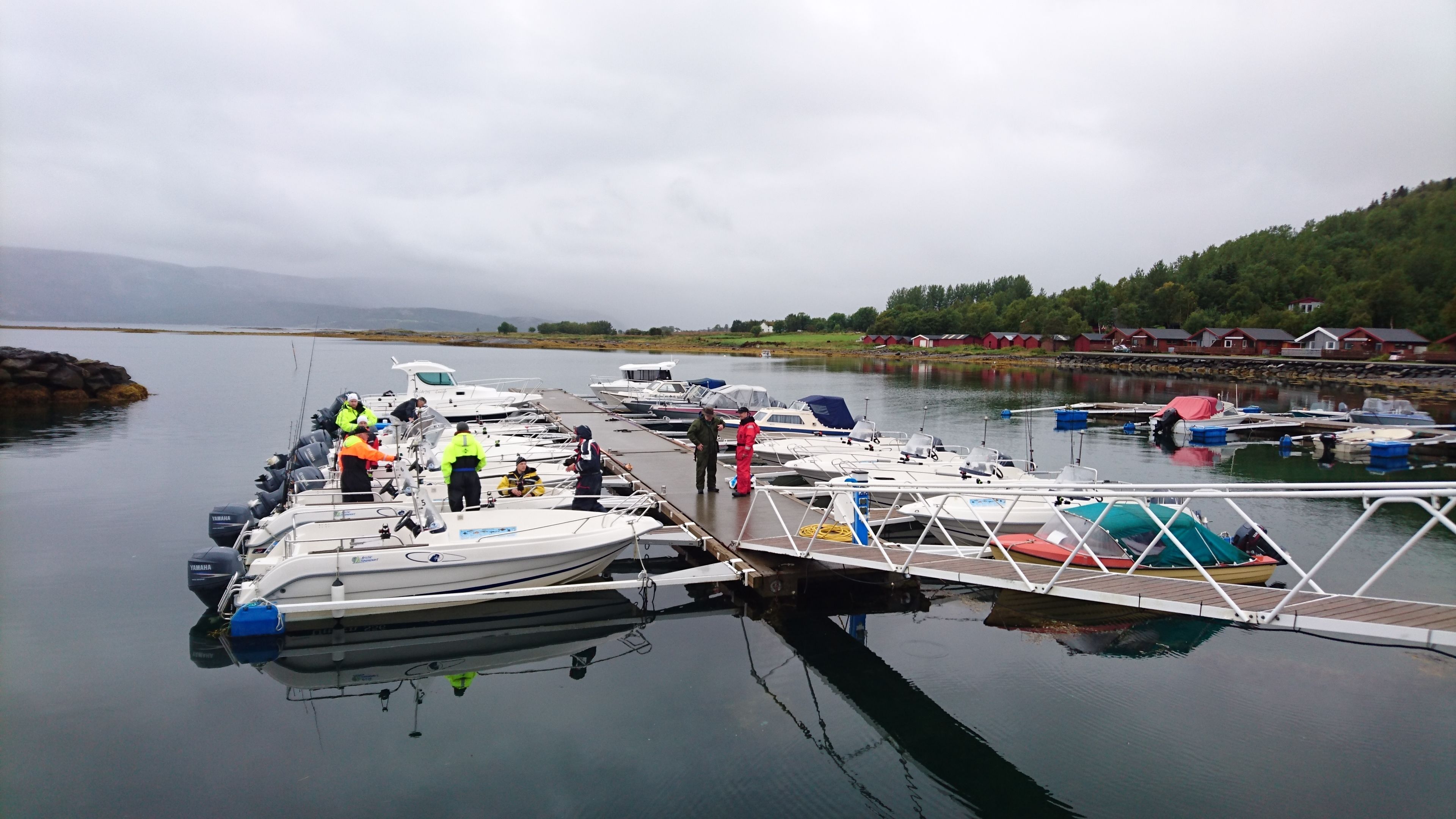 Uma marina com vários barcos atracados, um cais de madeira e um lago calmo.