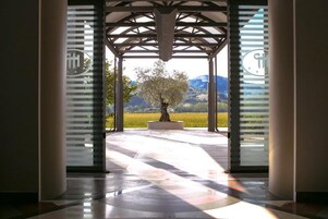Entrada com porta de vidro que dá para área externa coberta, com uma árvore e vista do campo.