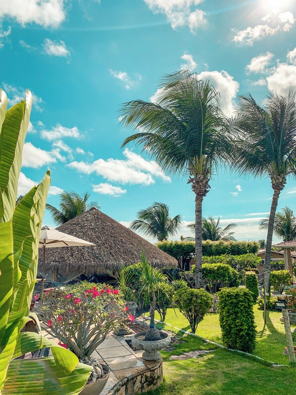 Terraço/pátio interior