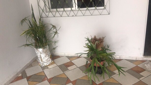 Detalhe da parte interna