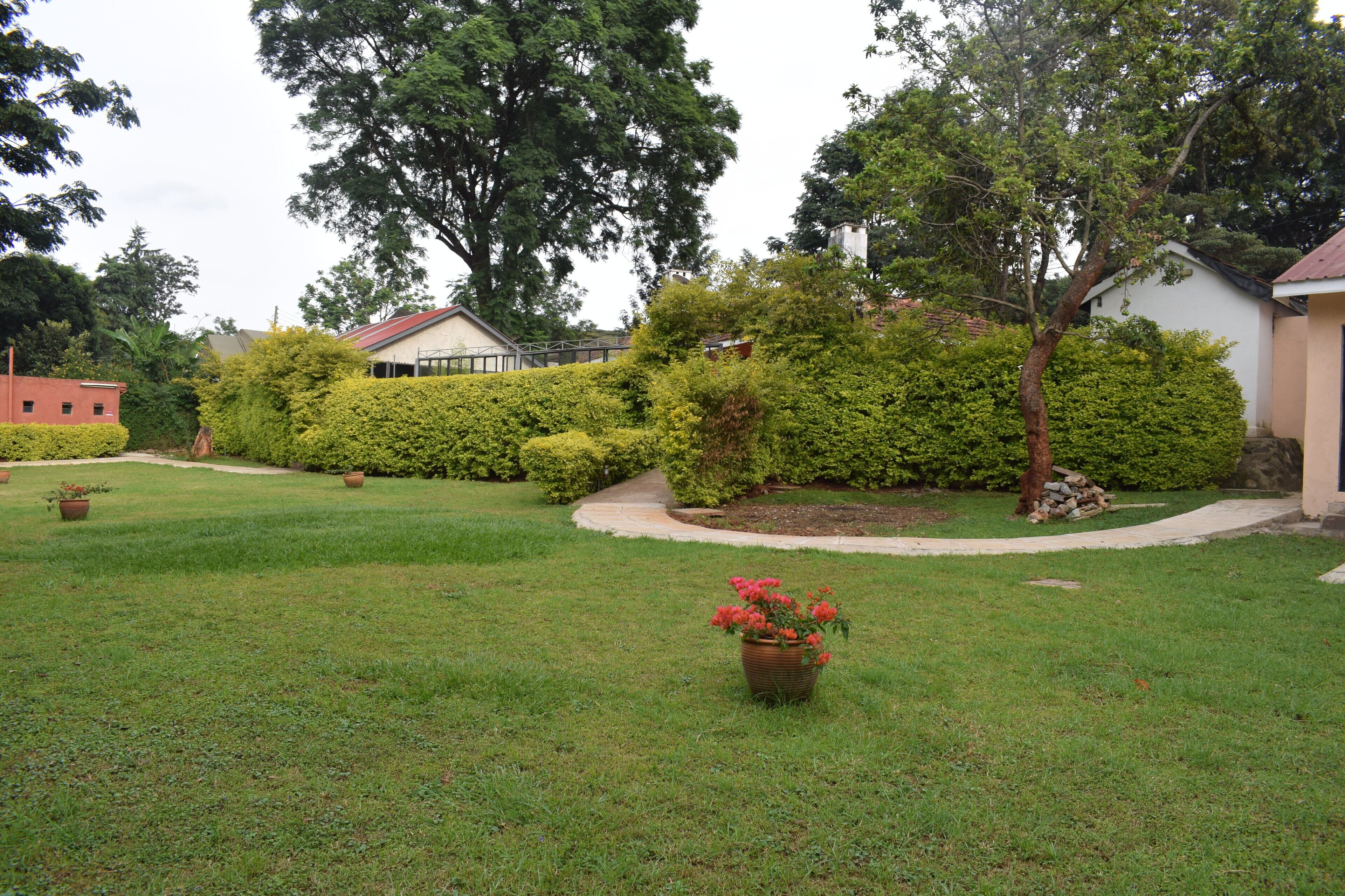 Quarto Duplo Deluxe, 1 cama de casal | Terraço/pátio interior