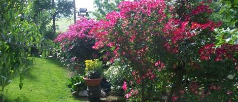 Terrenos do alojamento