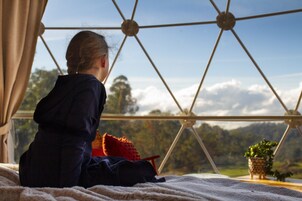 Tenda Panorâmica, 1 cama king-size, vista para as vinhas (The Pinot Glampers Dome) | Vista para o jardim