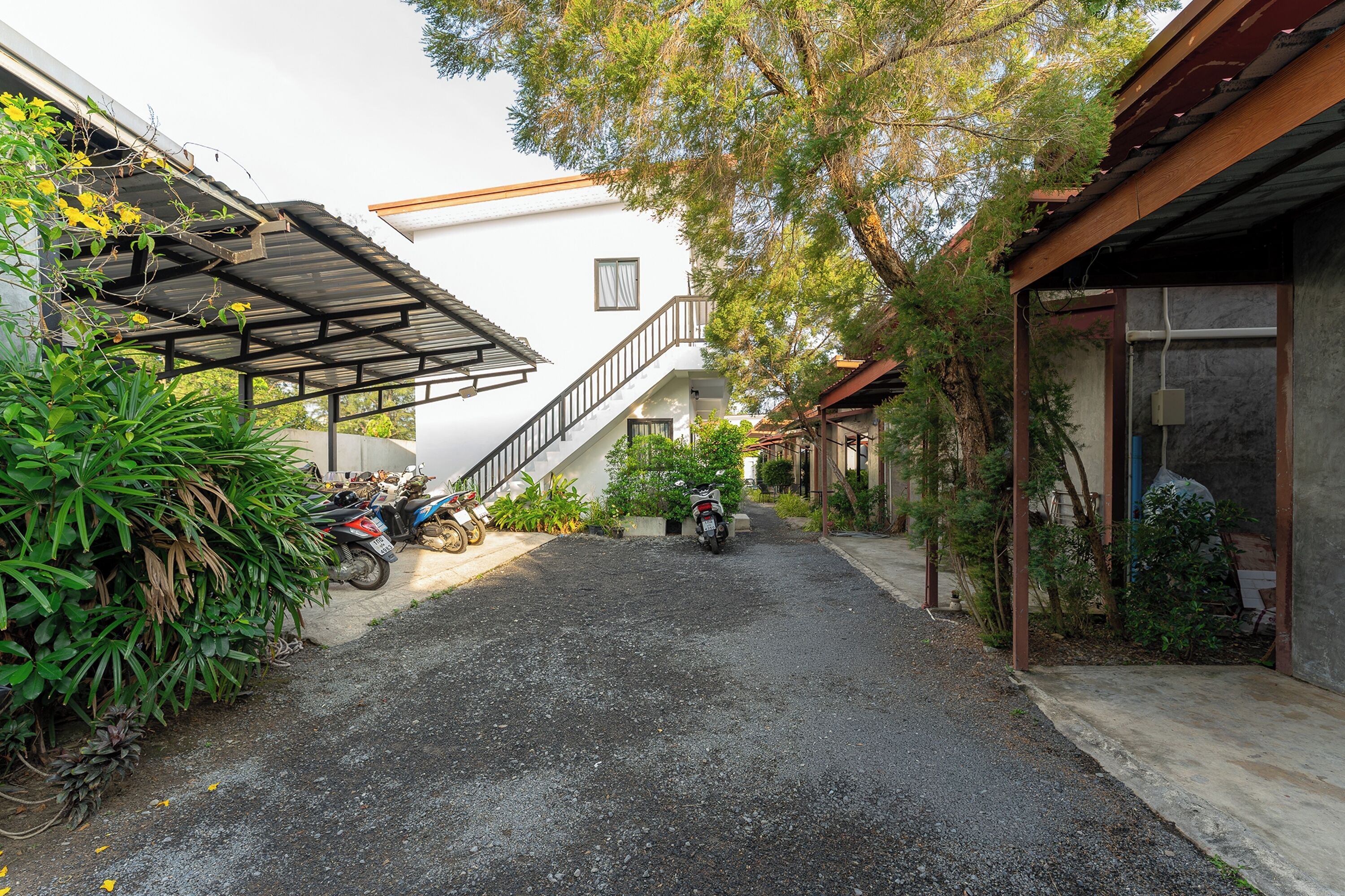 Um beco estreito com uma motocicleta estacionada no final, cercado por vegetação e edifícios.