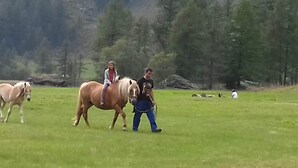 Um campo com grama onde duas cavalos pastam e uma pessoa as conduz.