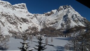 Paisagem montanhosa com picos cobertos de neve e um vale com árvores esparsas.