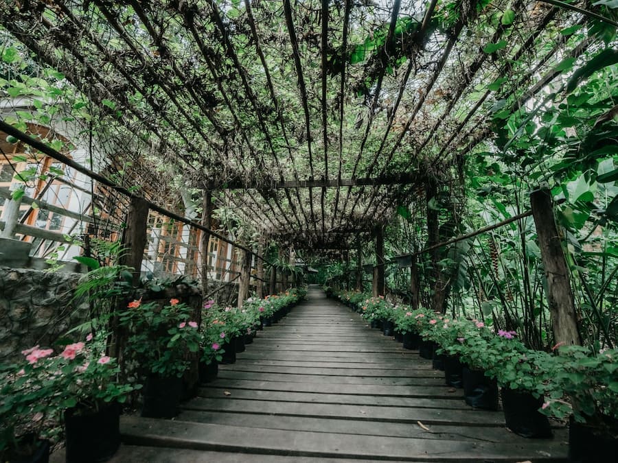 Terrenos do alojamento