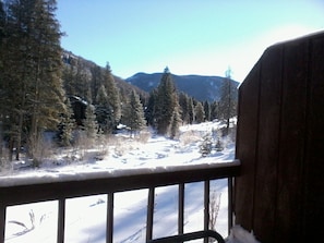 Vail Cabin with Spectacular Views, one of a kind views! - Vail | Vrbo
