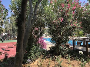 Jardim