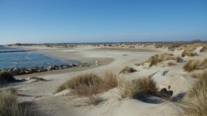 Uma praia com dunas de areia e um trecho de costa rochosa.
