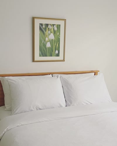 Boutique Apartment In Charlottetown - One Bedroom - Charlottetown