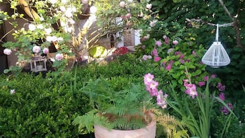 Jardim