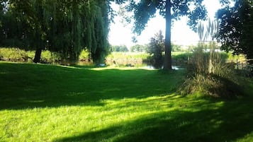 Jardim