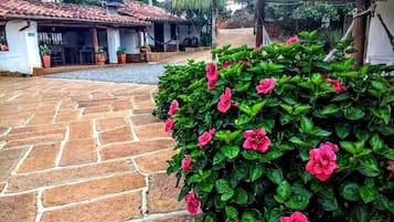 Jardim
