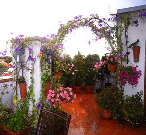 Um jardim com diversos vasos de plantas e flores, um banco de metal e um caminho com tijolos.
