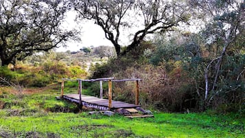 Caminhada