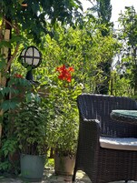Terraço/pátio interior