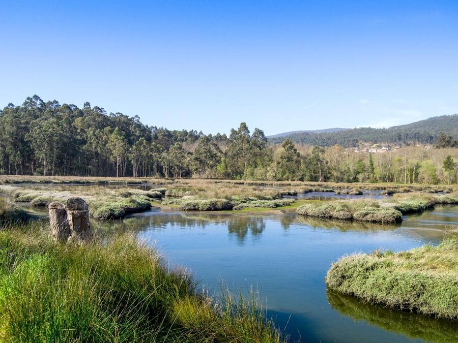 Paisagem natural com um corpo d'água tranquilo, rodeado por uma floresta densa e colinas ao fundo.
