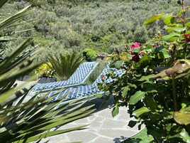 Quarto Quádruplo Superior, junto ao jardim | Terraço/pátio interior