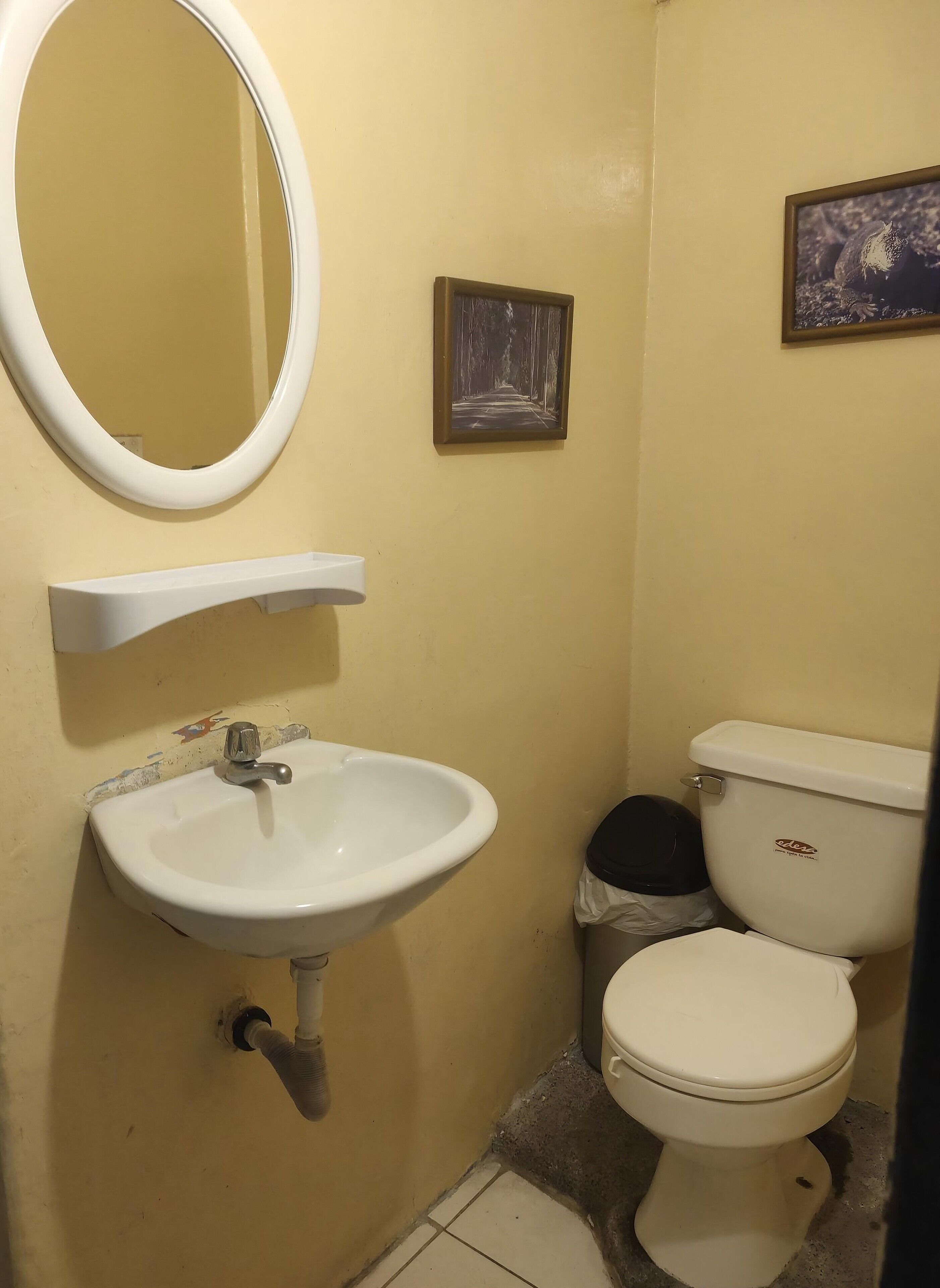 Uma casa de banho pequena com uma pia branca, uma sanita, um espelho e um quadro emoldurado na parede.