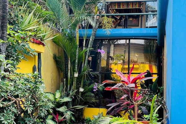 Jardim