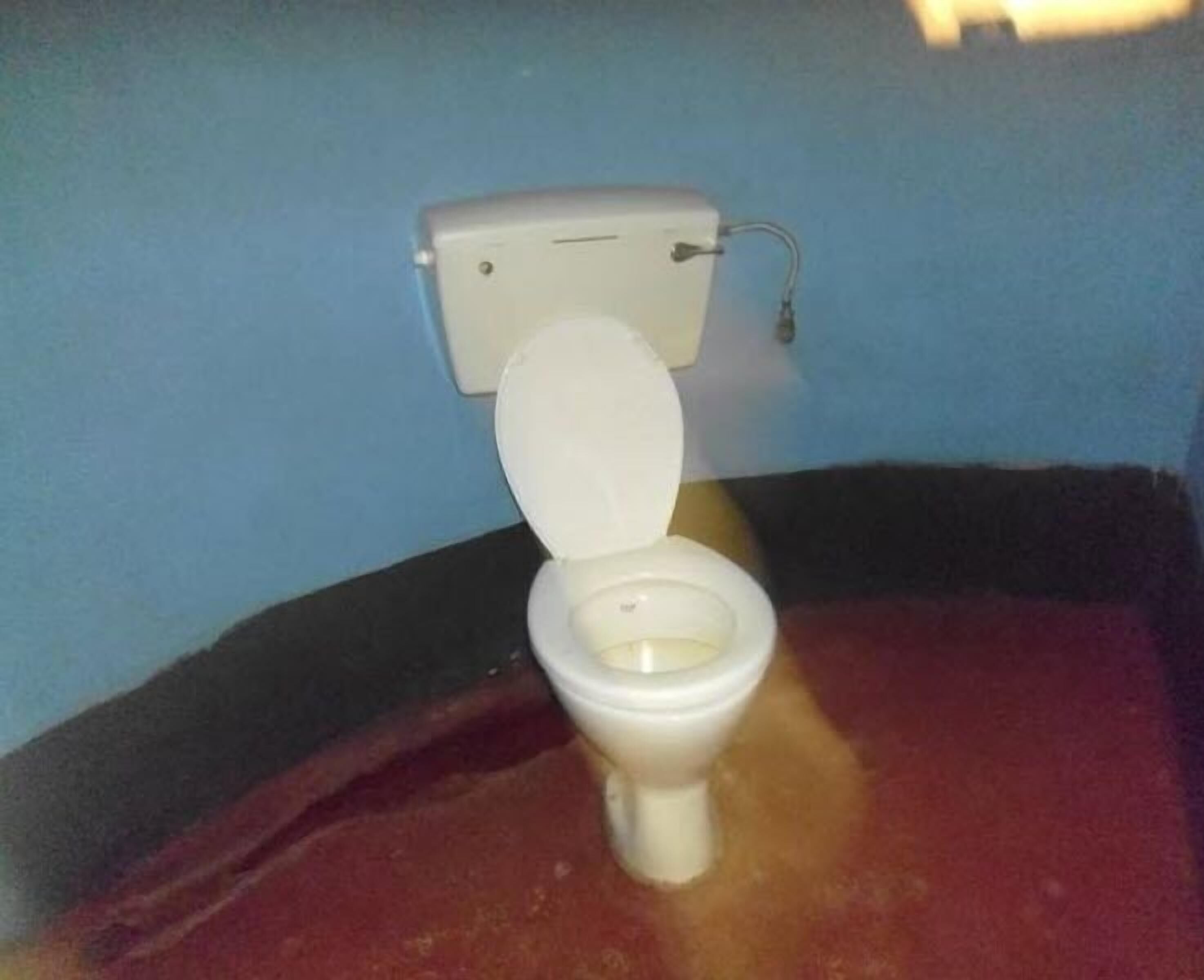 Diversos