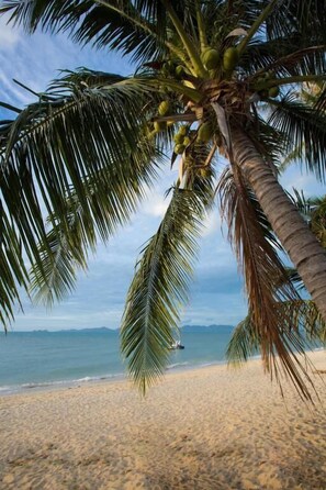 Perto da praia 