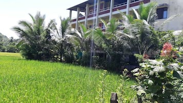 Jardim