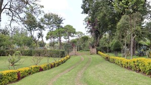 Um caminho serpenteia por um jardim bem cuidado, com sebes aparadas e diversas árvores.