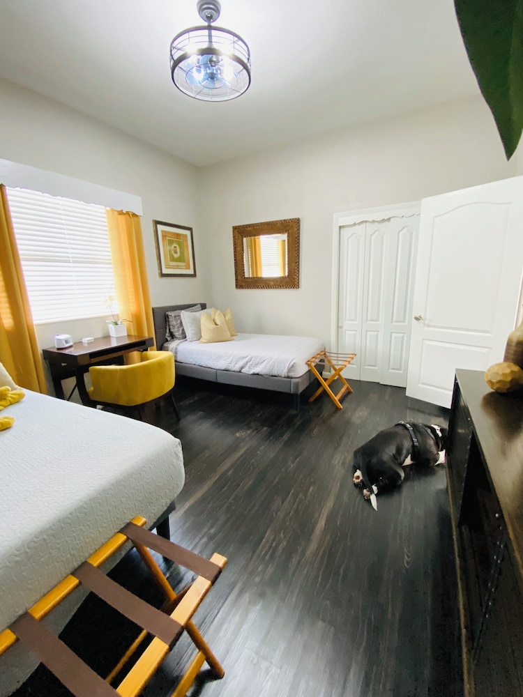 Hip Tampa Bungalow🌴close To Ut, Soho, & Riverwalk - Tampa, FL