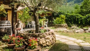 Uma área de pátio com mobiliário externo, plantas em vasos e um caminho de pedra que leva a uma casa.
