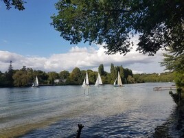 Um lago tranquilo com veleiros, rodeado por árvores e um c éu claro.