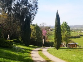 Uma trilha campestre cercada por vegetação exuberante e árvores altas, que conduz a um edifício distante.