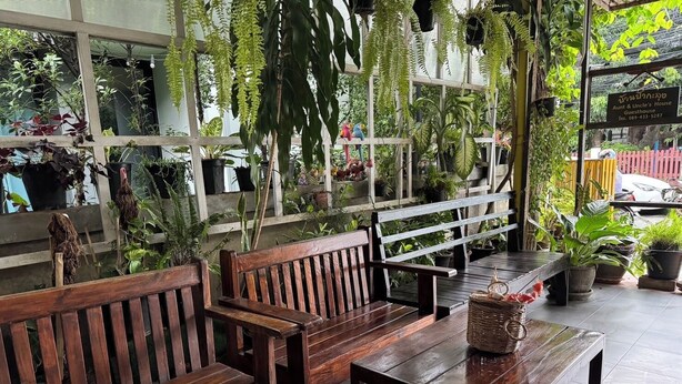 Um banco e uma mesa de madeira em uma estufa, com diversas plantas.