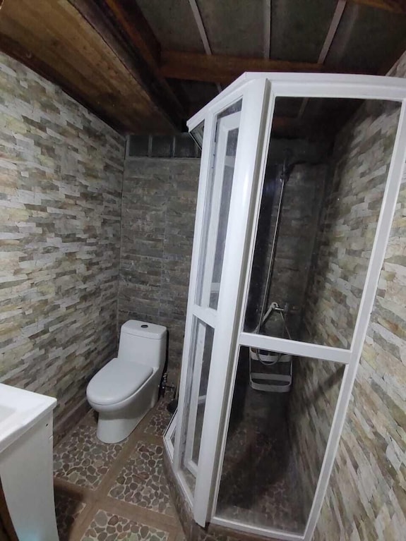 Los Gatos Compañeros - Santiago