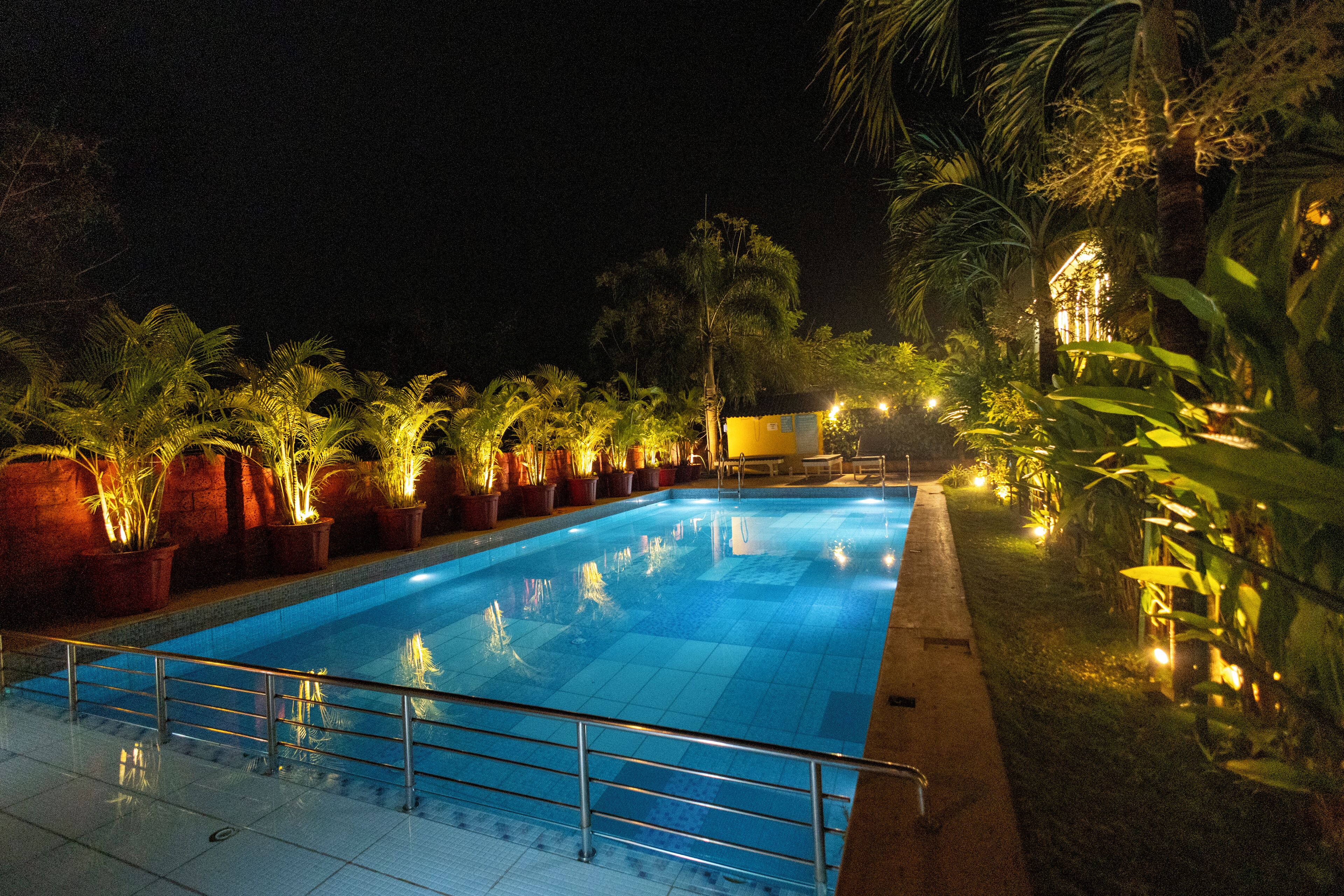 Piscina à noite, com palmeiras ao redor e um edifício ao fundo.