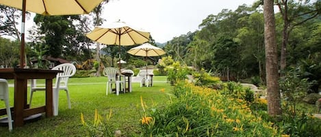 Pátio interior