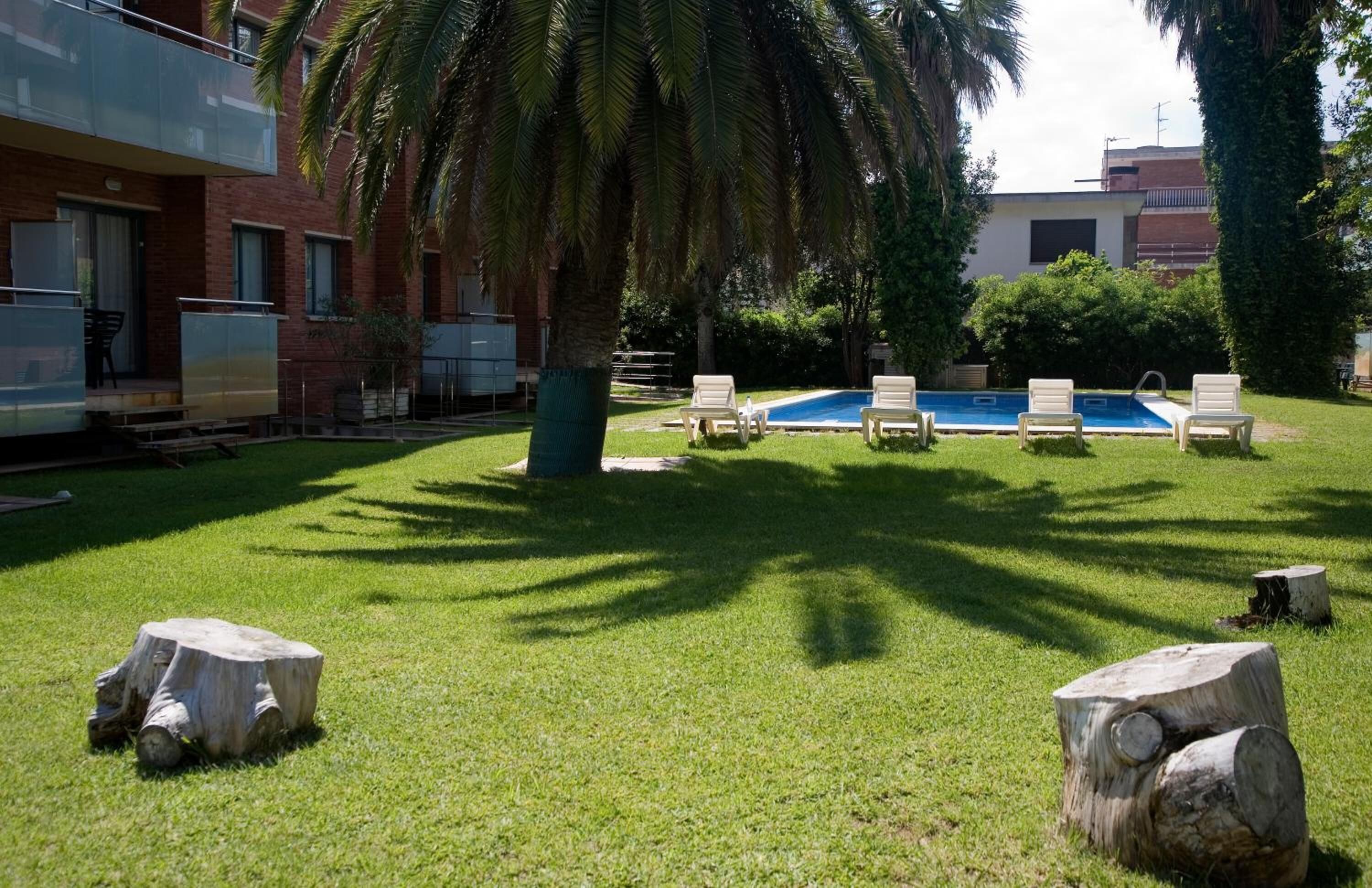 Área de piscina com espreguiçadeiras, uma palmeira e gramado.