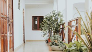 Um corredor com paredes brancas, portas de madeira e plantas em vasos.