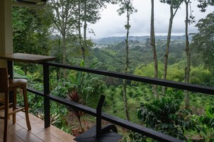 Varanda com mesa e cadeira de madeira, com vista para uma paisagem verdejante com árvores e uma cidade ao longe.