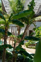 Jardim
