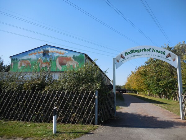 Haflingerhof Noack - Lübbenau/Spreewald