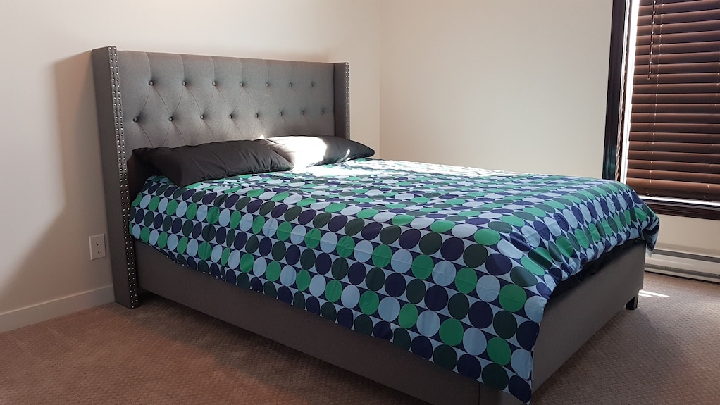 Ultraclean Luxurious Large Penthouse. Central, Best Location In Winnipeg. - Winnipeg