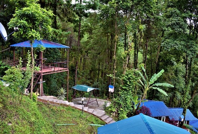 Jungle Crown Organic Homestay