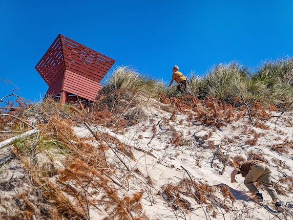 Maison De Vacances Pour 4 Dans Un Parc De Vacances A Blokhus - Blokhus